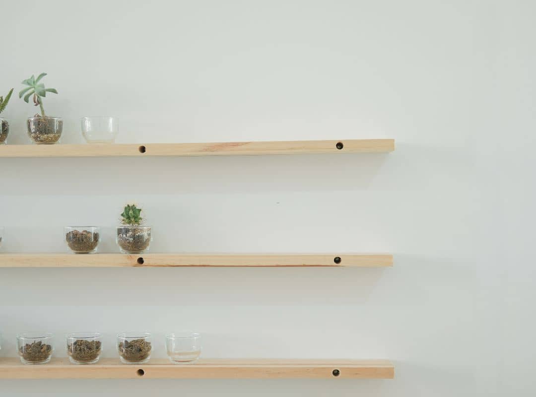 How To Build Indoor Succulent Shelf (A Complete Guide) | Succulent Thrive